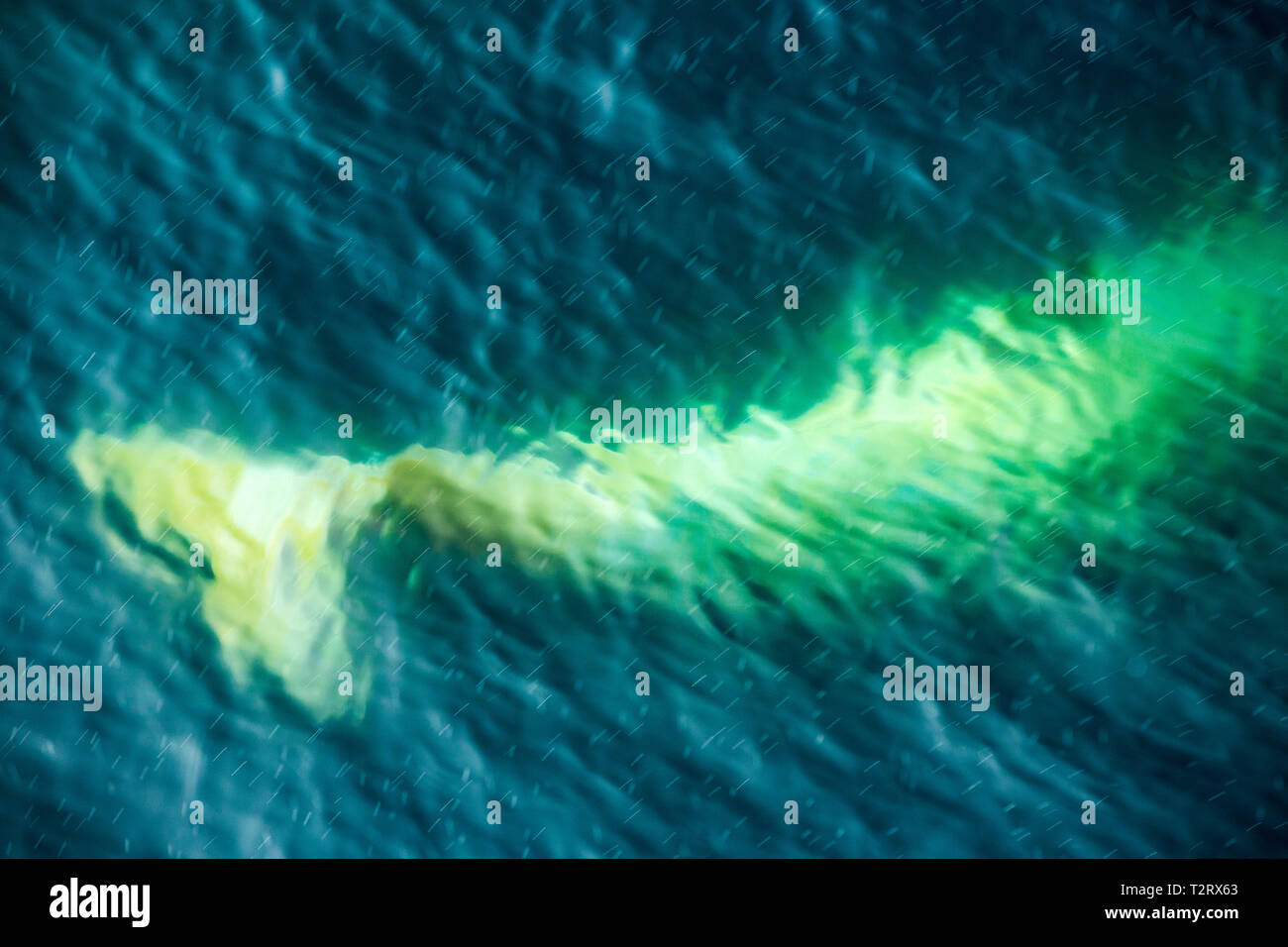 Gerlache strait and orca hi-res stock photography and images - Alamy