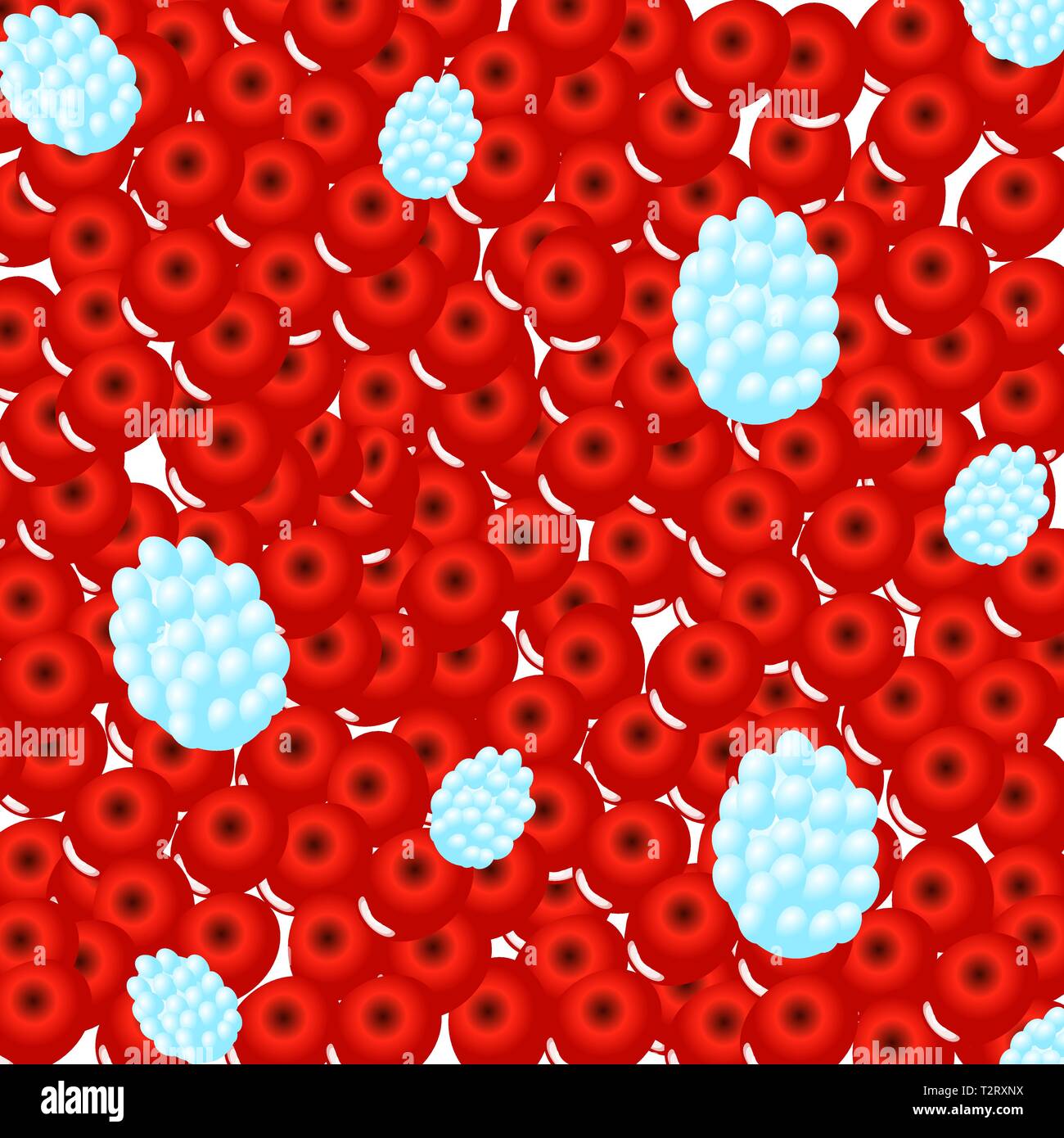 Circulation of erythrocytes, leukocytes and platelets in plasma. Vector ...