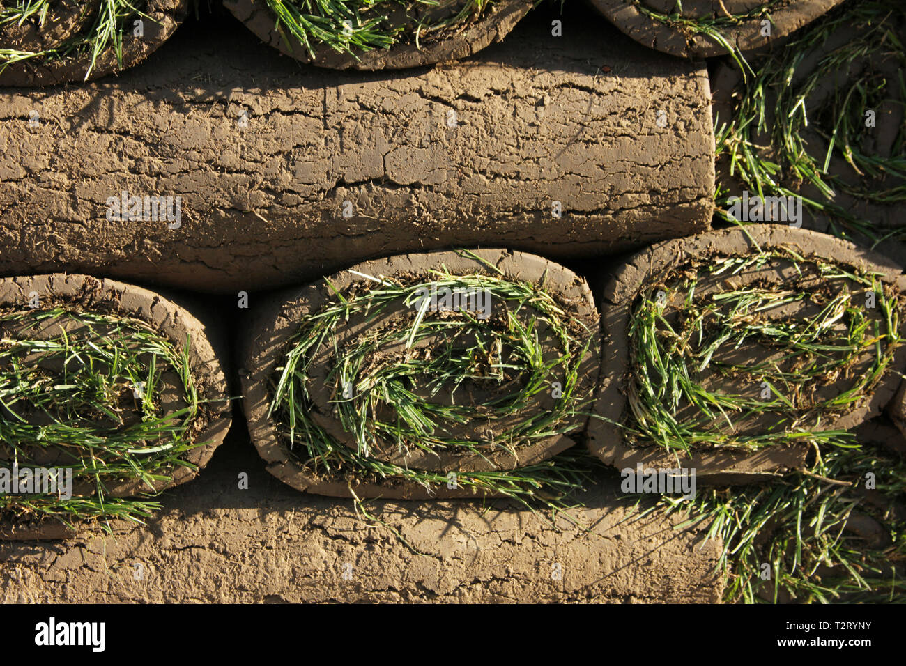 Golf turf cross section hi-res stock photography and images - Alamy