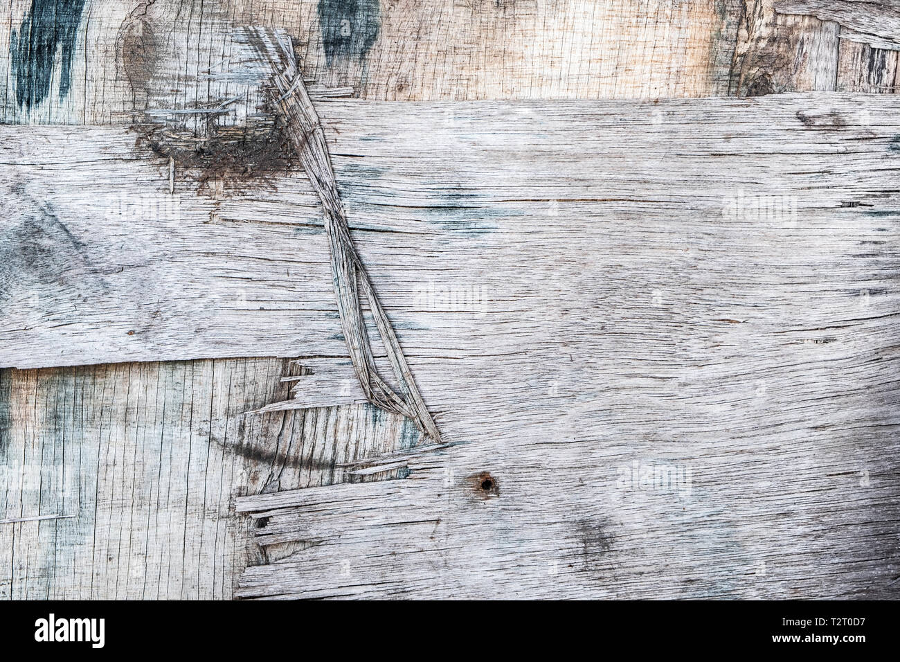Wood texture background, natural tree Stock Photo - Alamy