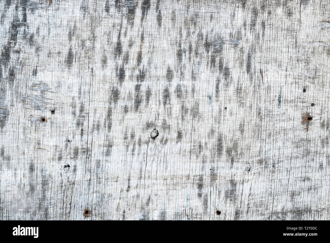 Wood texture background, natural tree Stock Photo - Alamy