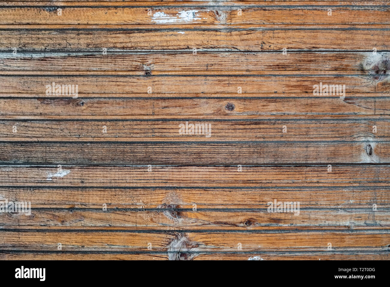 Wood texture background, natural tree Stock Photo - Alamy