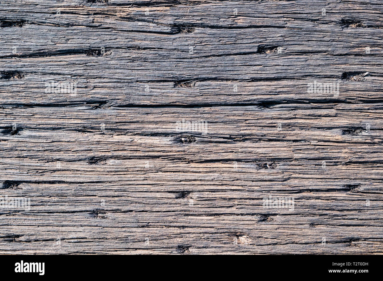 Wood texture background, natural tree Stock Photo - Alamy