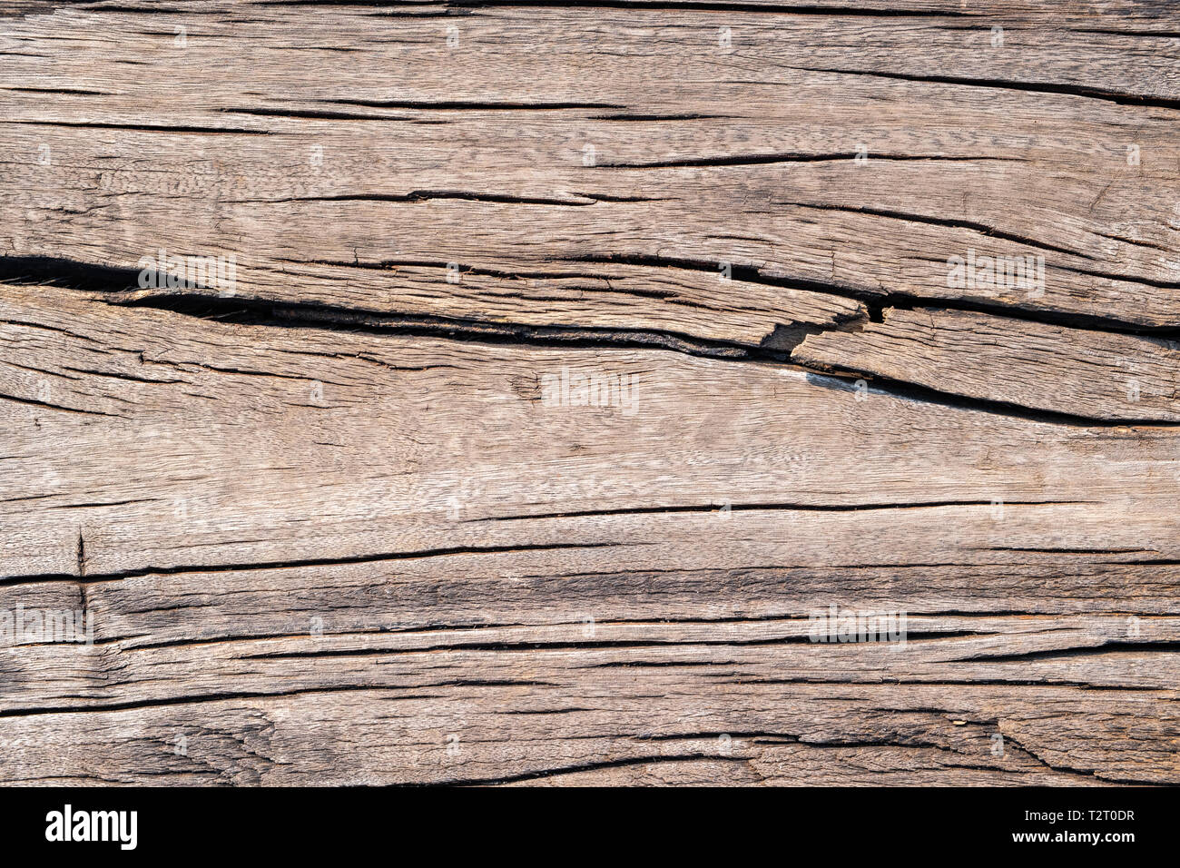 Wood texture background, natural tree Stock Photo - Alamy