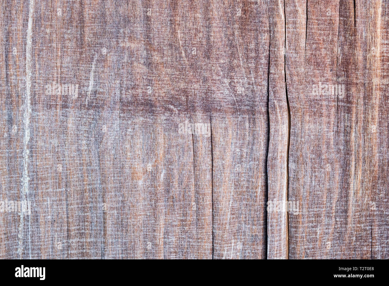 Wood texture background, natural tree Stock Photo - Alamy