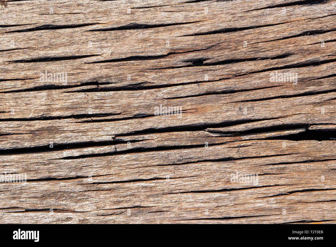 Wood texture background, natural tree Stock Photo - Alamy