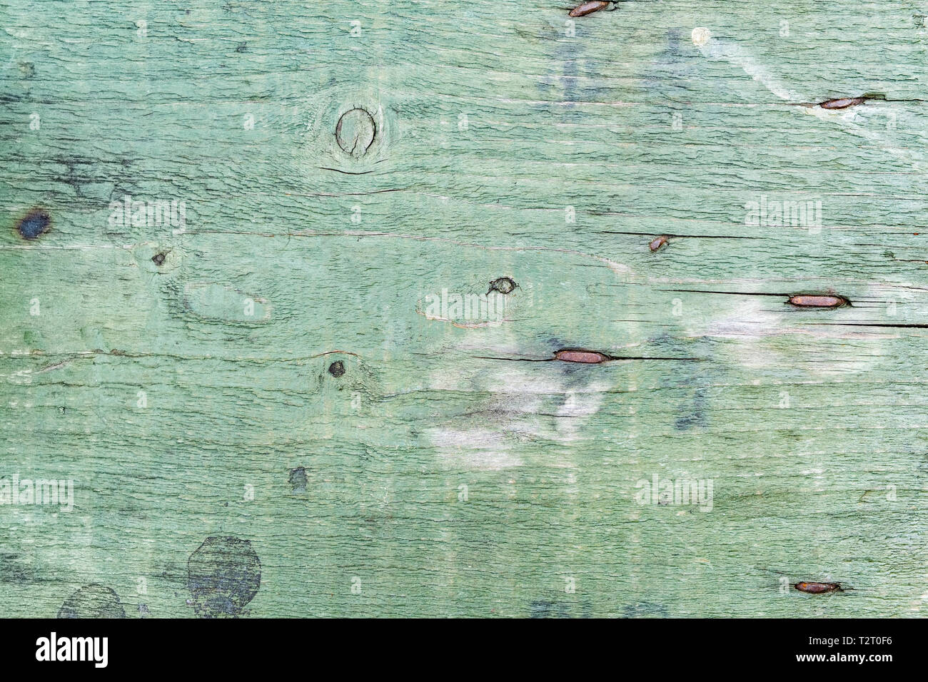 Wood texture background, natural tree Stock Photo - Alamy