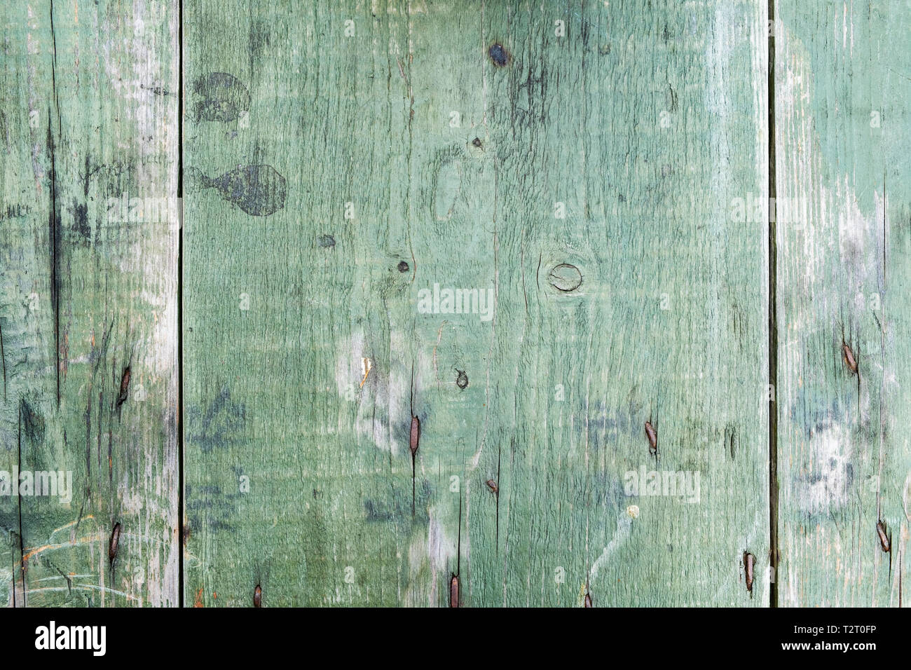 Wood texture background, natural tree Stock Photo - Alamy