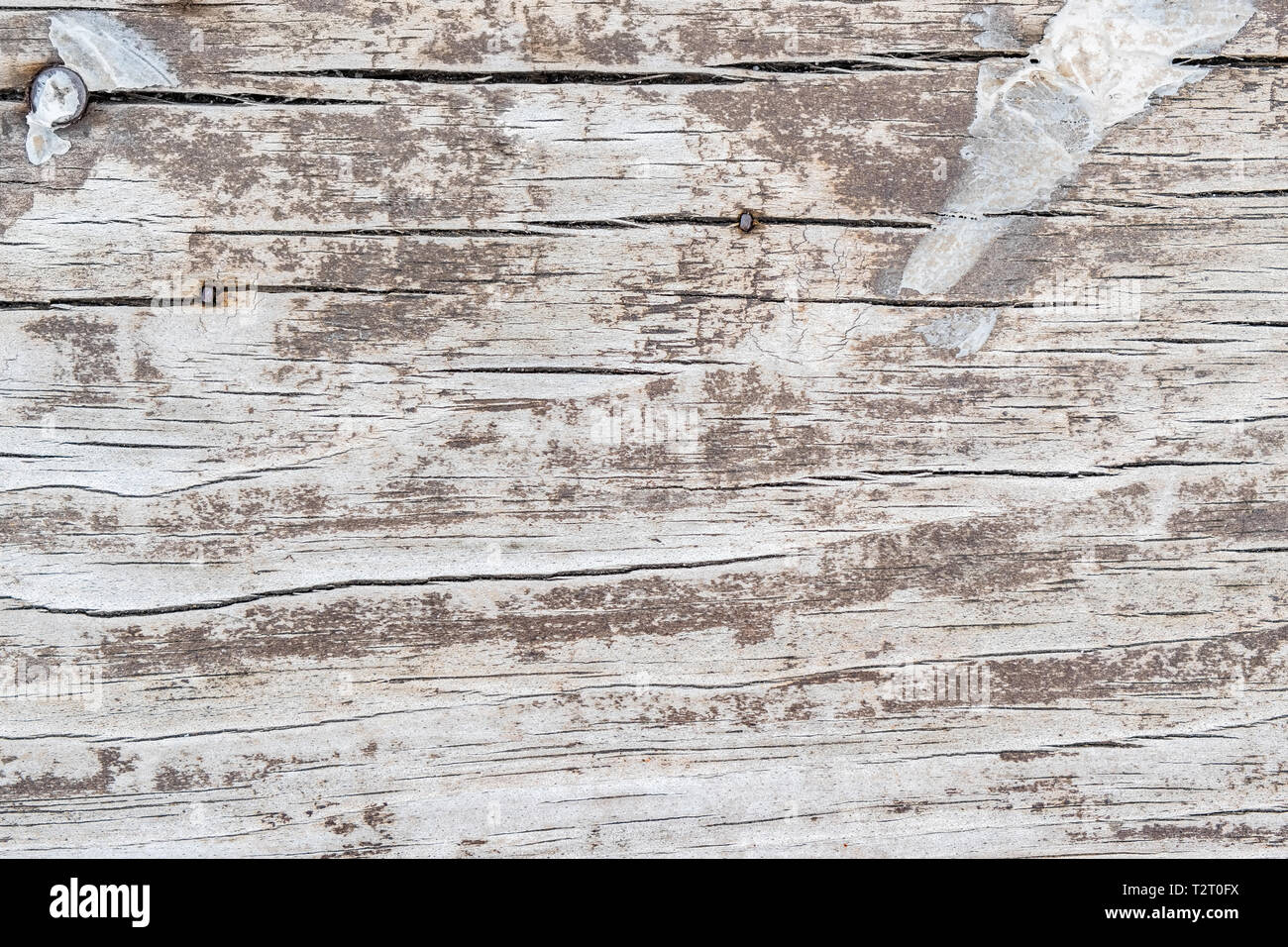 Wood texture background, natural tree Stock Photo - Alamy