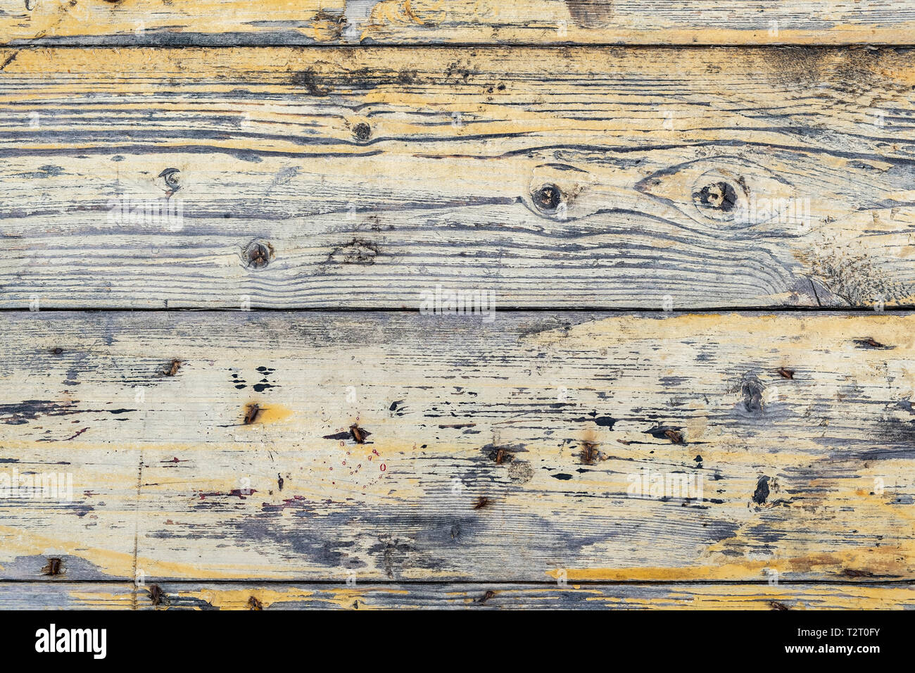 Wood texture background, natural tree Stock Photo - Alamy