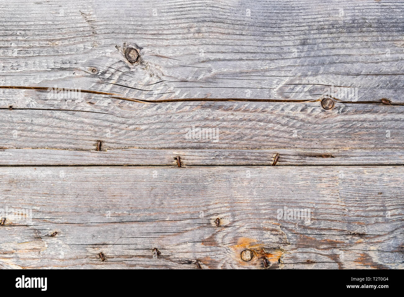 Wood texture background, natural tree Stock Photo - Alamy