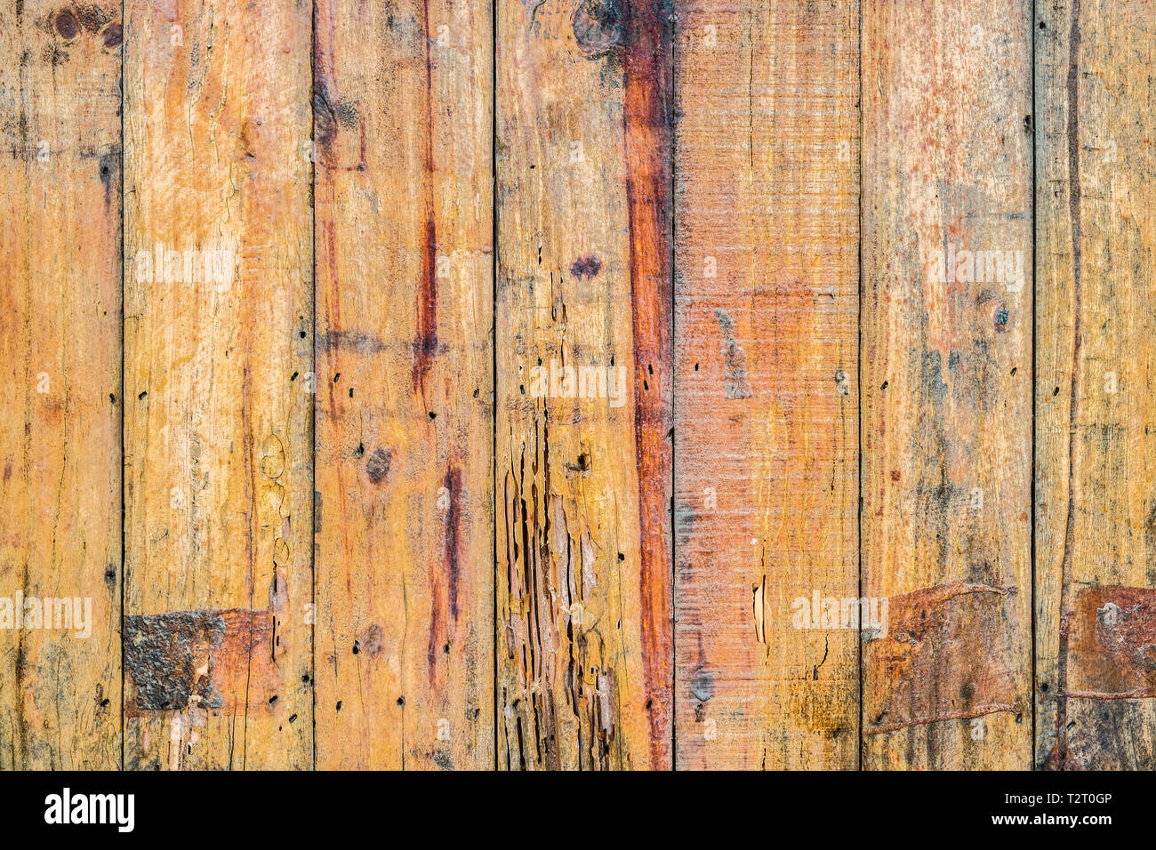 Wood texture background, natural tree Stock Photo - Alamy