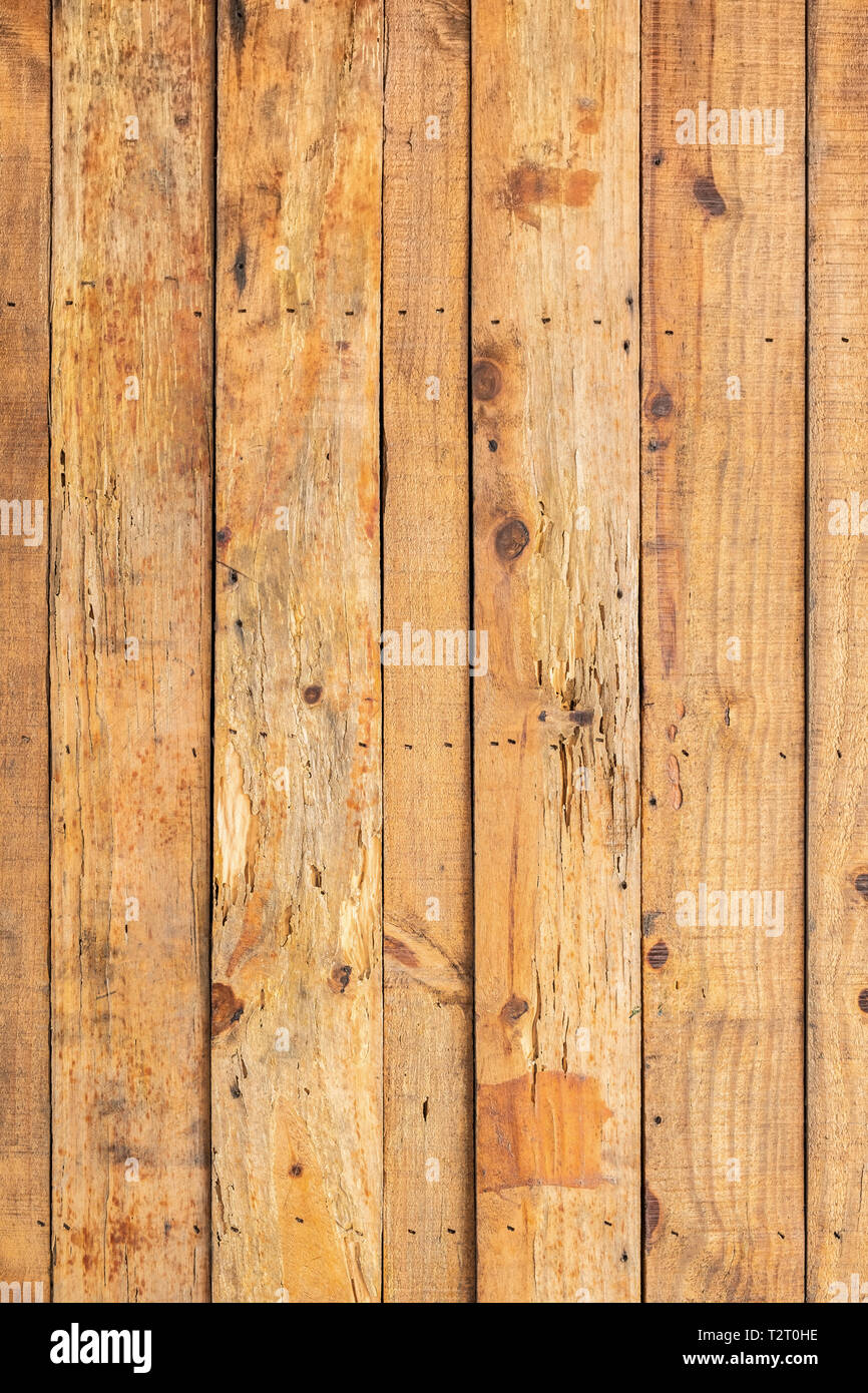 Wood texture background, natural tree Stock Photo - Alamy