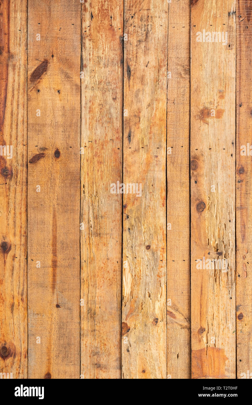 Wood texture background, natural tree Stock Photo - Alamy