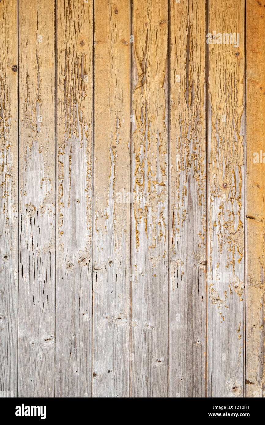 Wood texture background, natural tree Stock Photo - Alamy