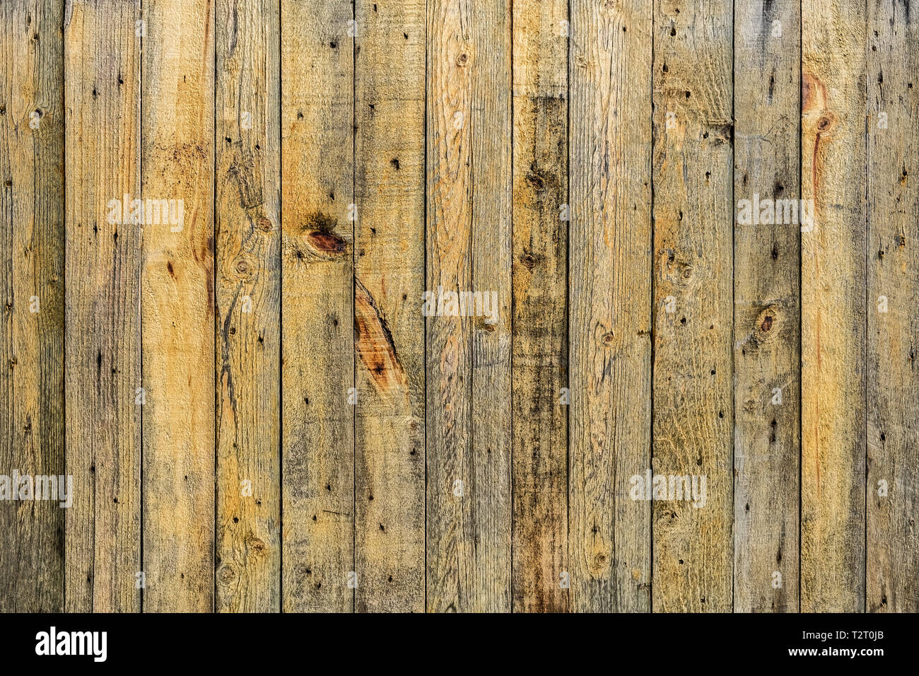 Wood texture background, natural tree Stock Photo - Alamy
