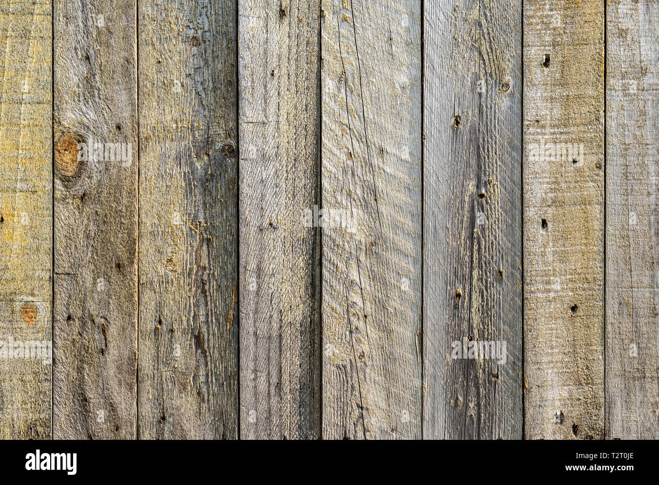 Wood texture background, natural tree Stock Photo - Alamy