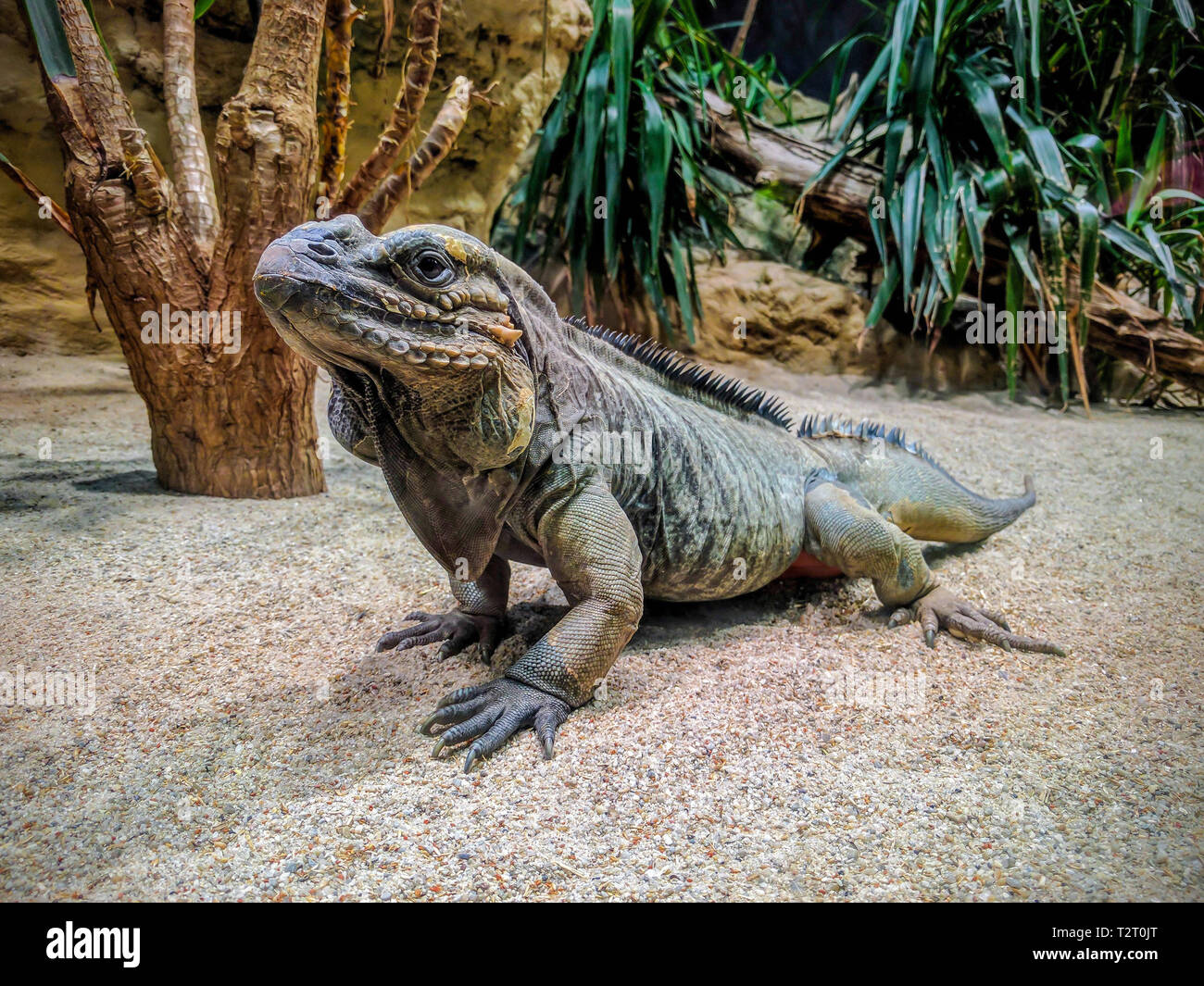 Large scale profile hi-res stock photography and images - Alamy