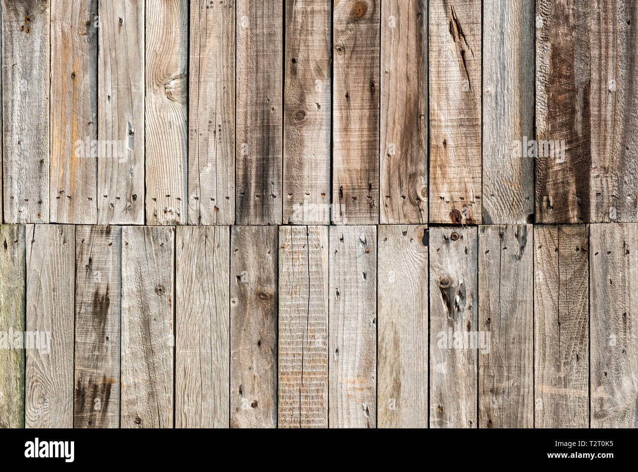Wood texture background, natural tree Stock Photo - Alamy
