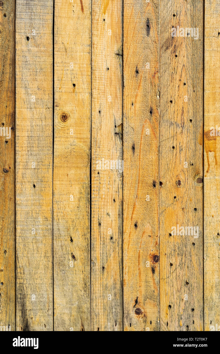 Wood texture background, natural tree Stock Photo - Alamy