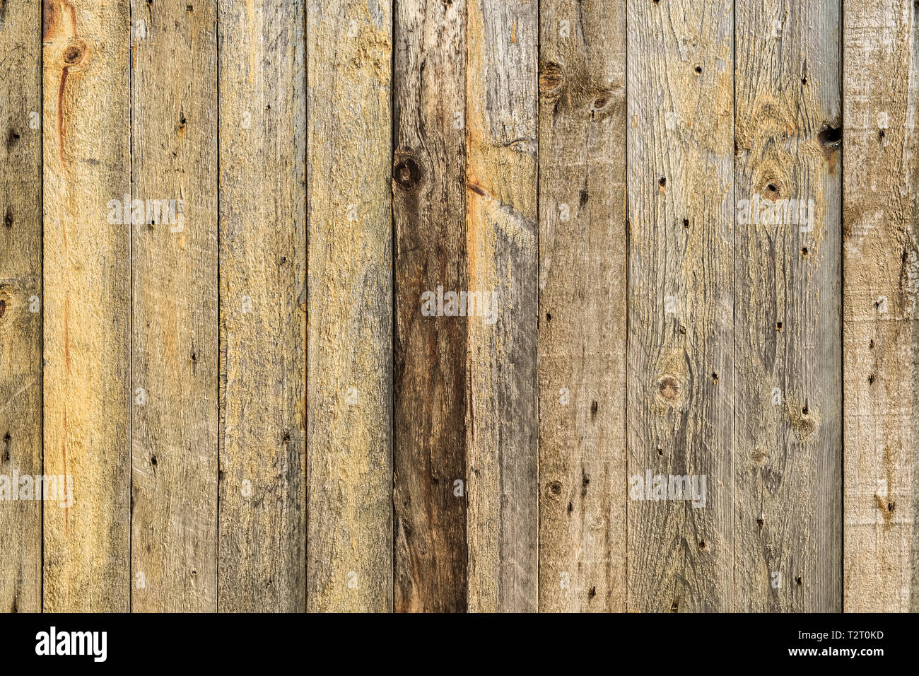 Wood texture background, natural tree Stock Photo - Alamy