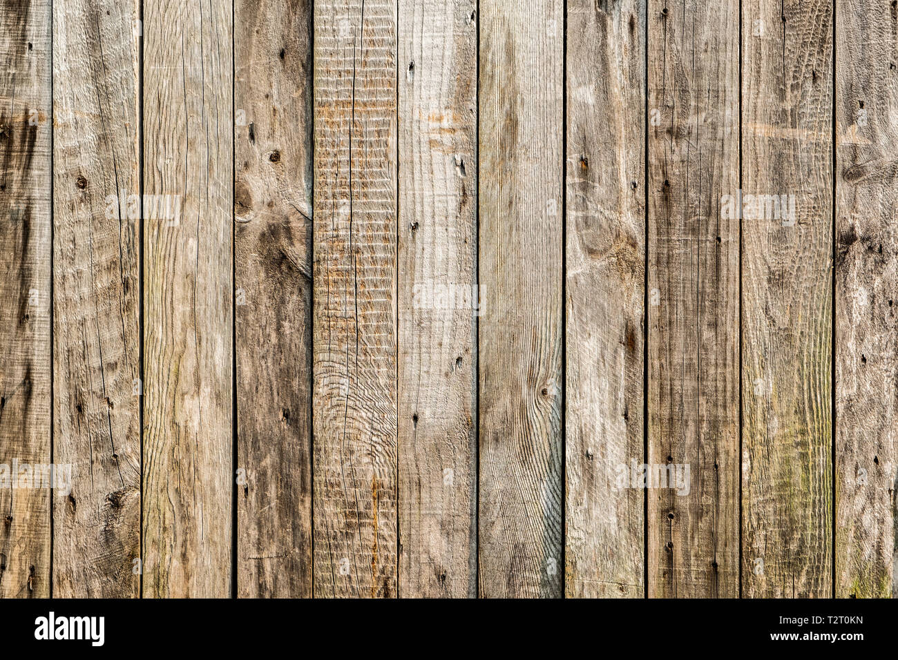 Wood texture background, natural tree Stock Photo - Alamy