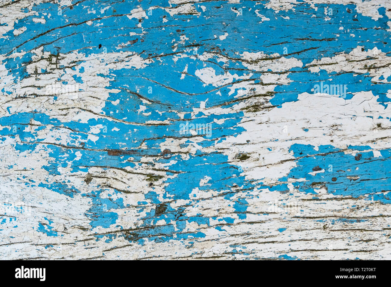 Wood texture background, natural tree Stock Photo - Alamy