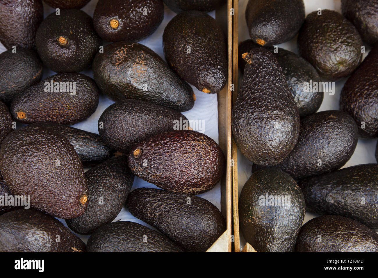 Ripe Avocados