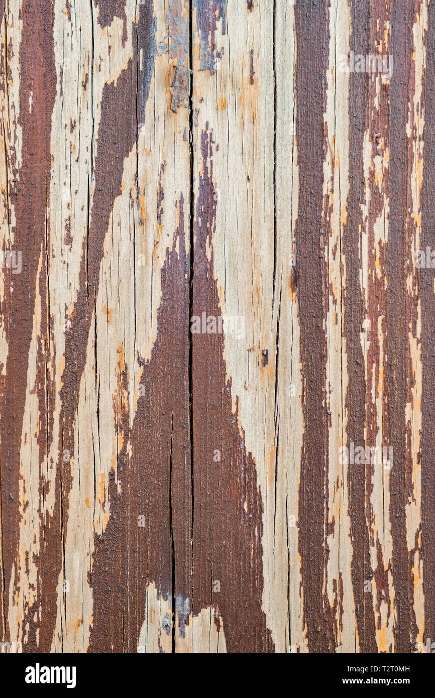 Wood texture background, natural tree Stock Photo - Alamy