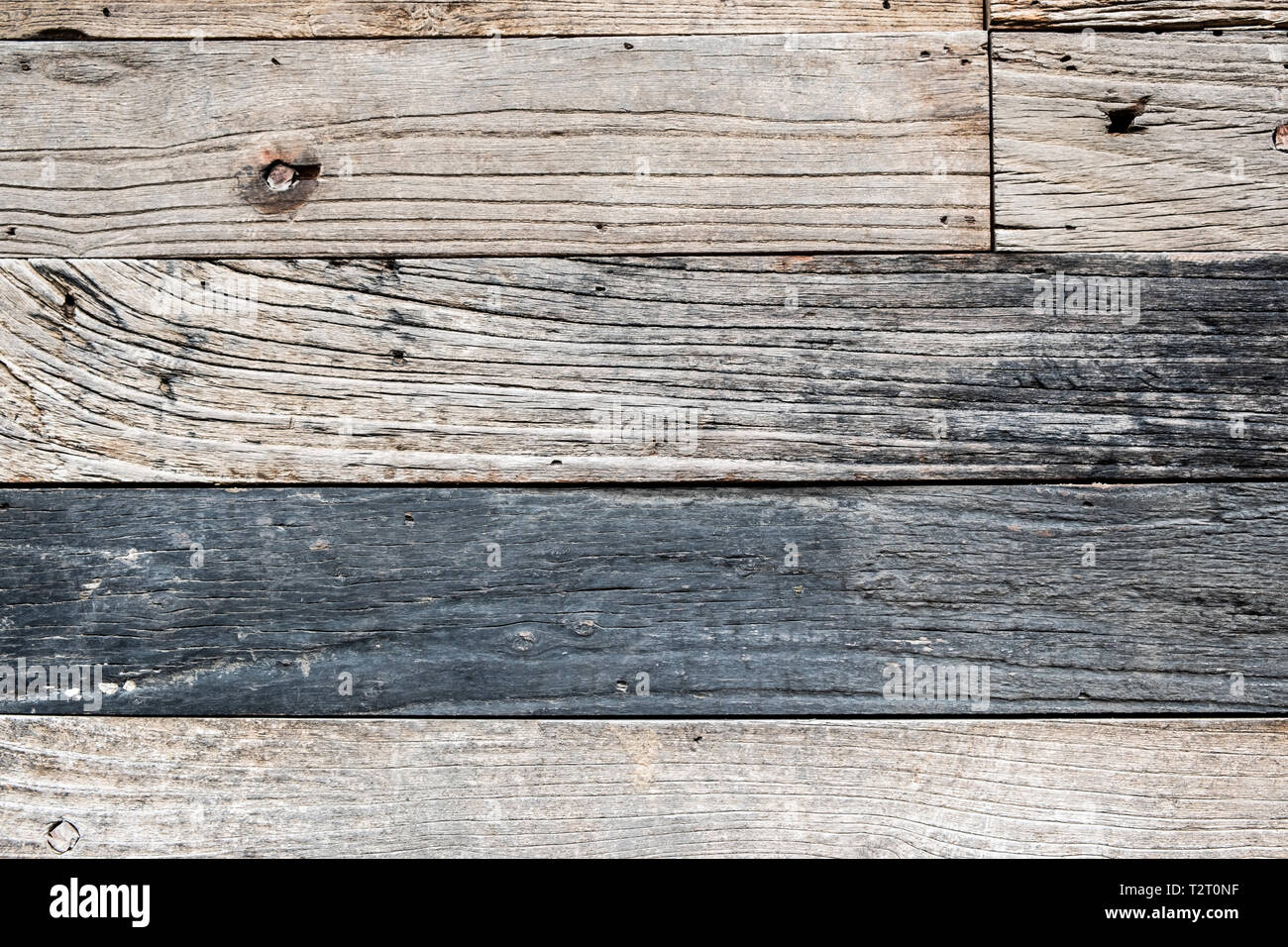 Wood texture background, natural tree Stock Photo - Alamy