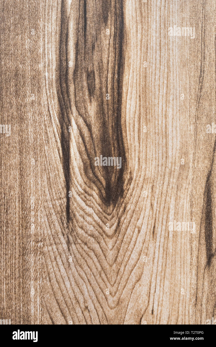 Wood texture background, natural tree Stock Photo - Alamy