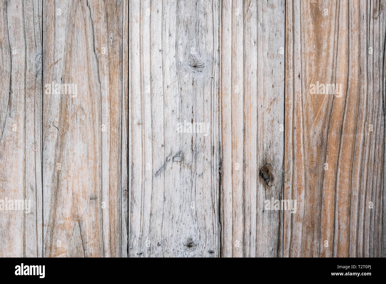 Wood texture background, natural tree Stock Photo - Alamy