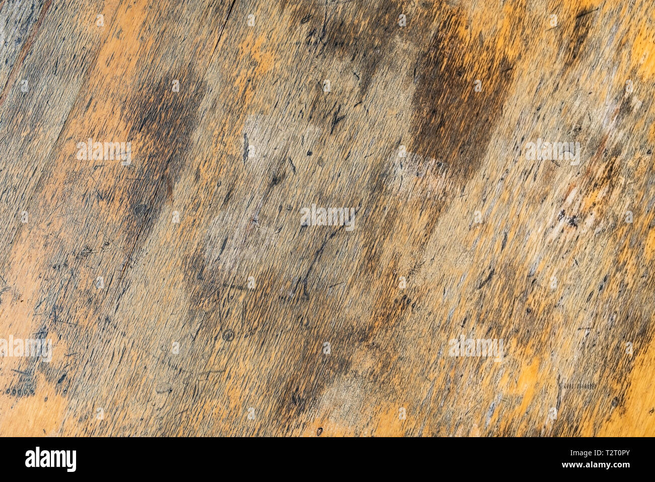 Wood texture background, natural tree Stock Photo - Alamy