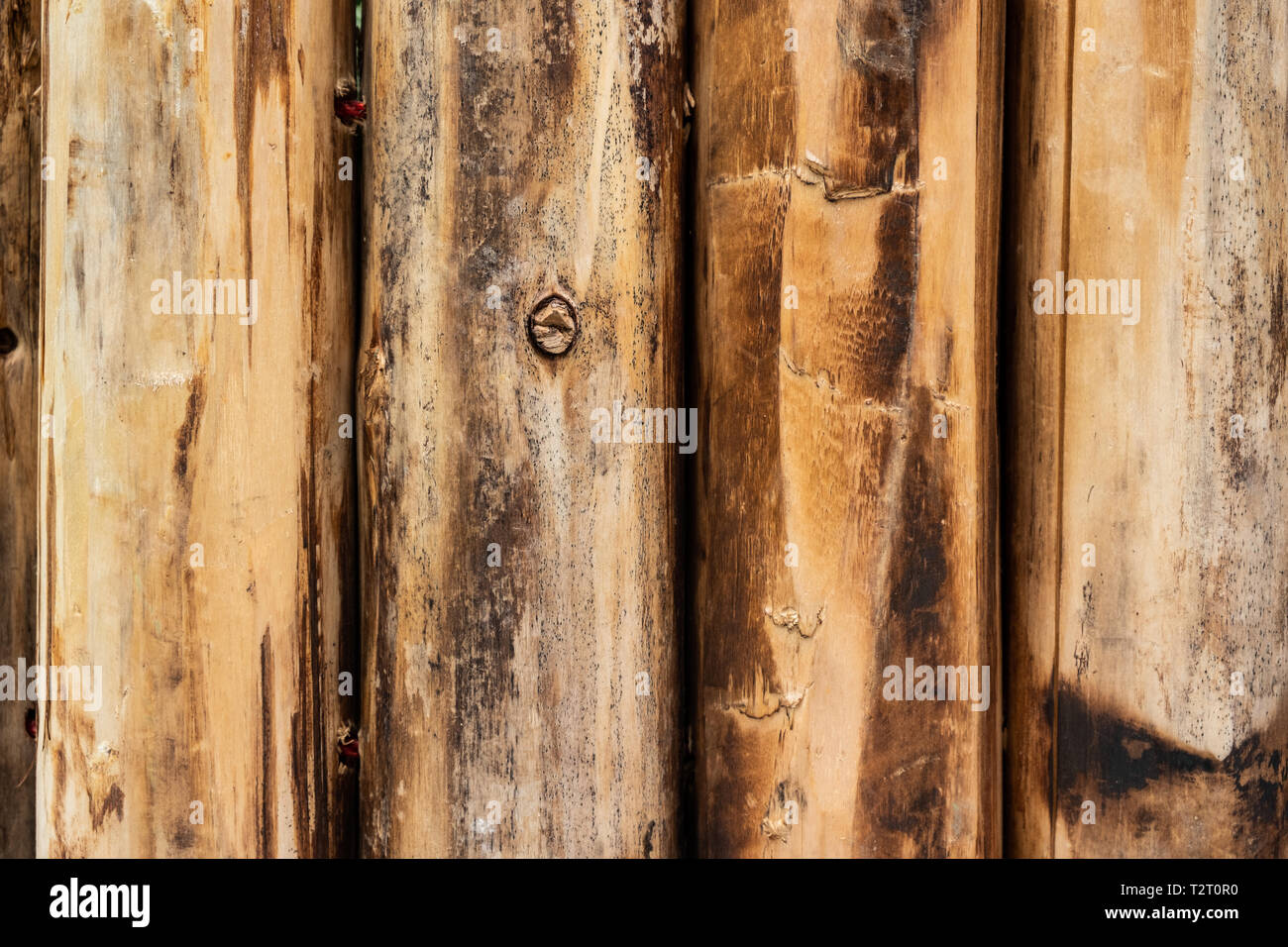 Wood texture background, natural tree Stock Photo - Alamy