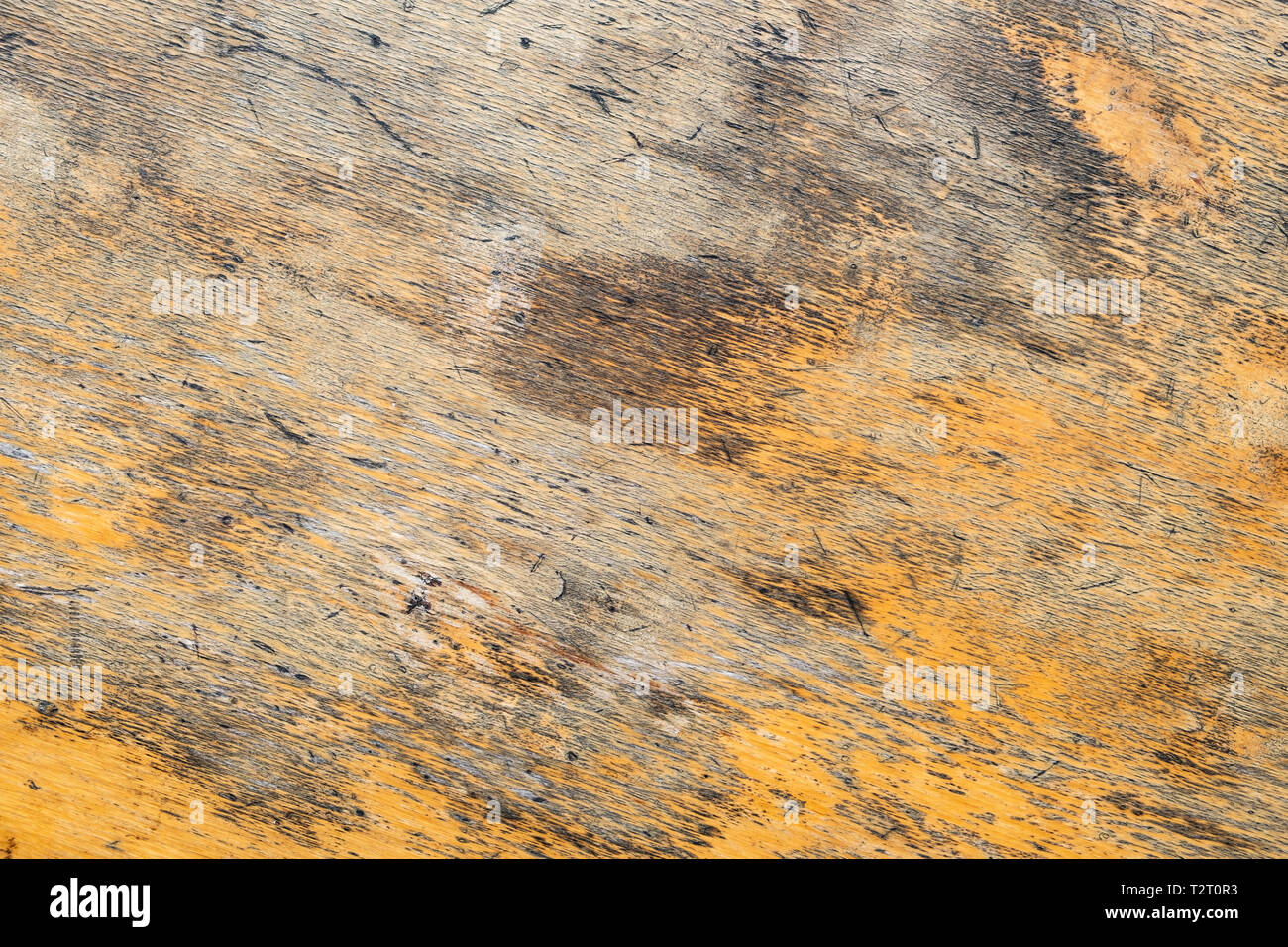 Wood texture background, natural tree Stock Photo - Alamy