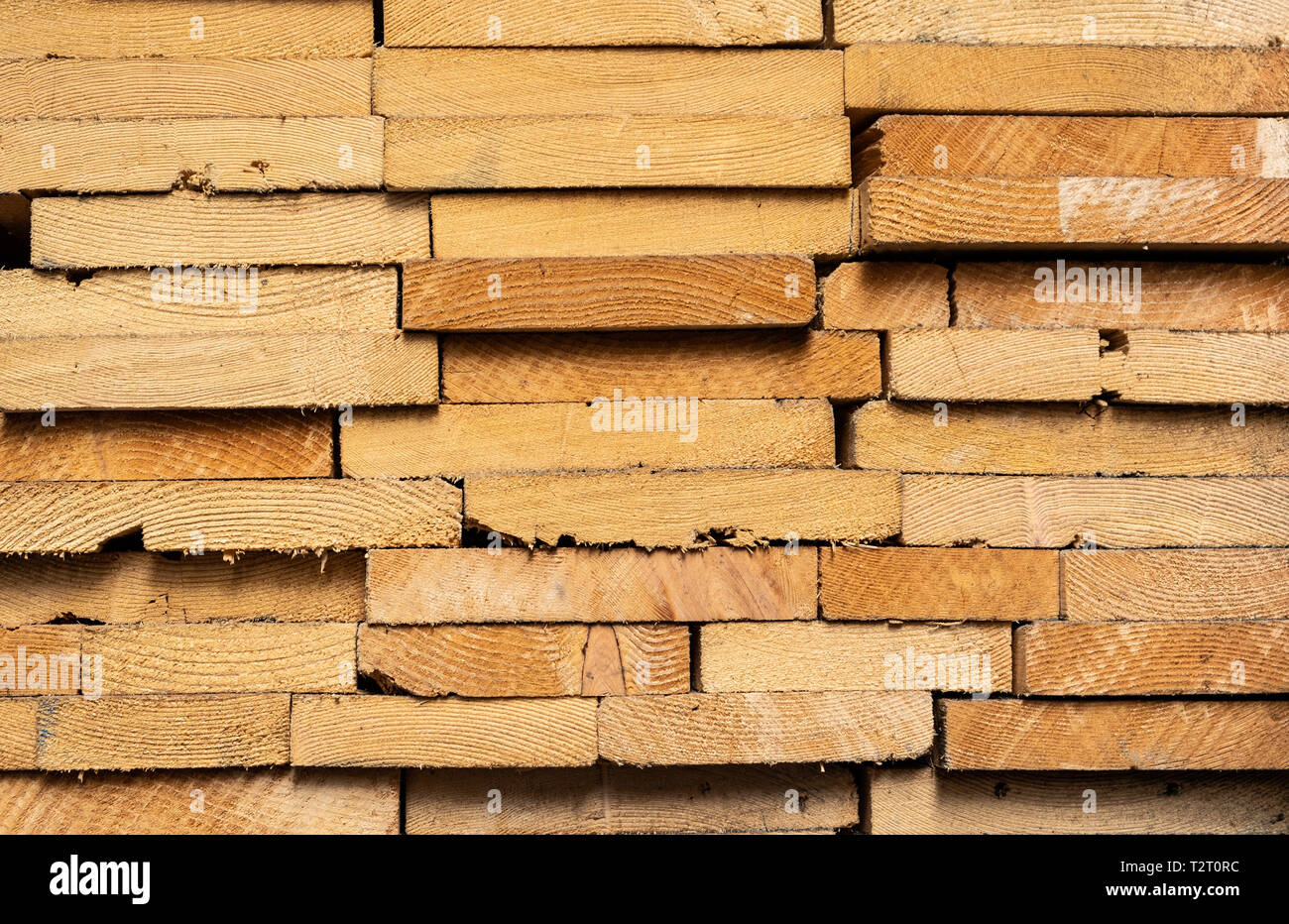 Wood texture background, natural tree Stock Photo - Alamy