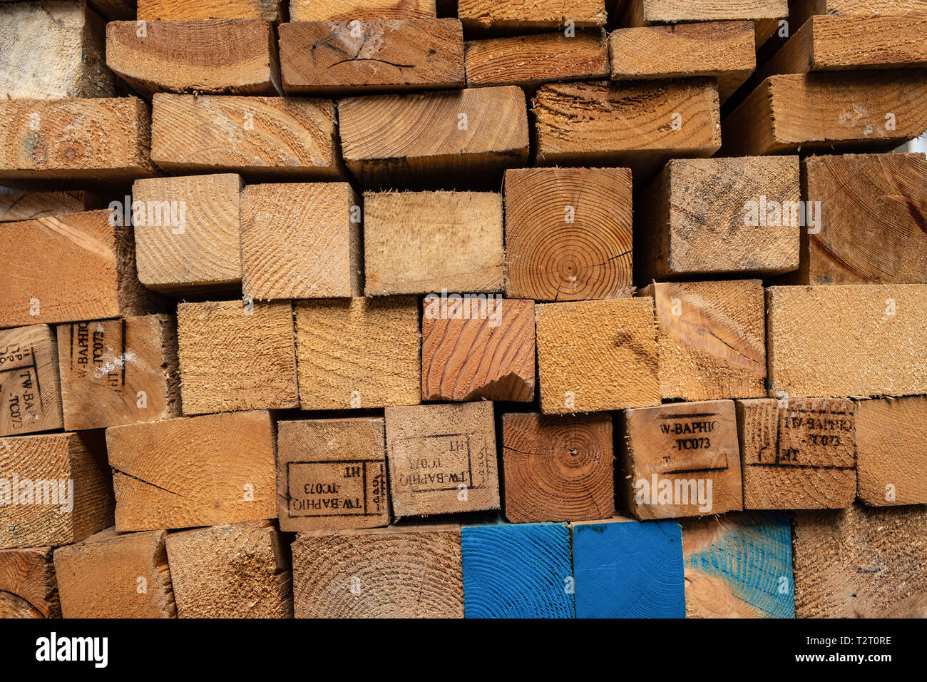 Wood texture background, natural tree Stock Photo - Alamy