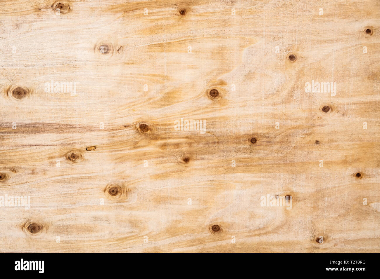 Wood texture background, natural tree Stock Photo - Alamy