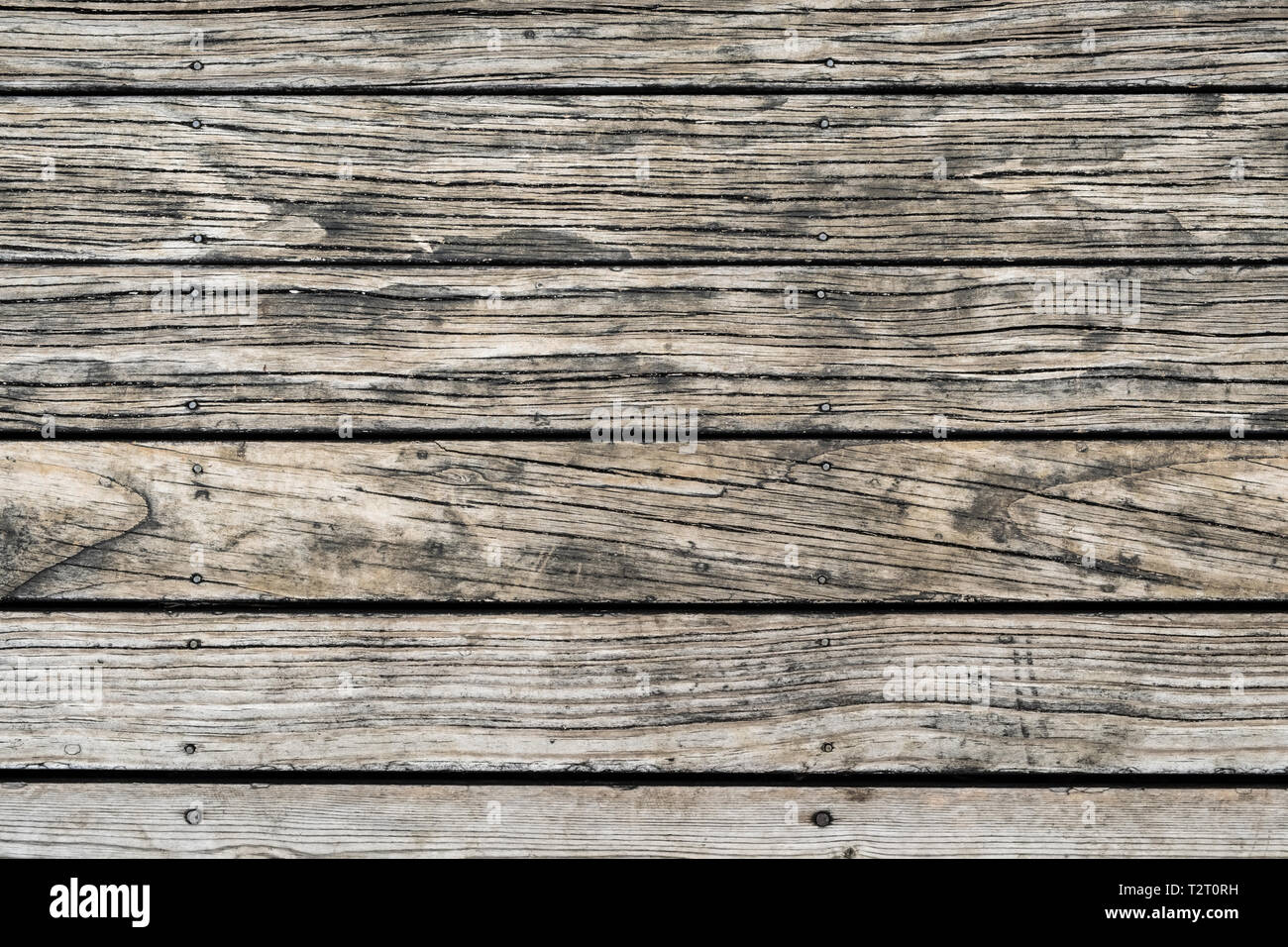 Wood texture background, natural tree Stock Photo - Alamy