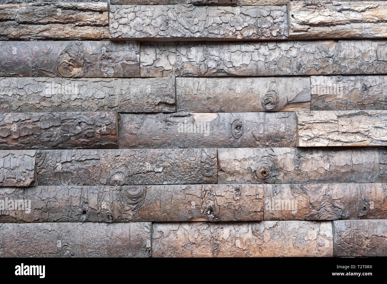 Wood texture background, natural tree Stock Photo - Alamy