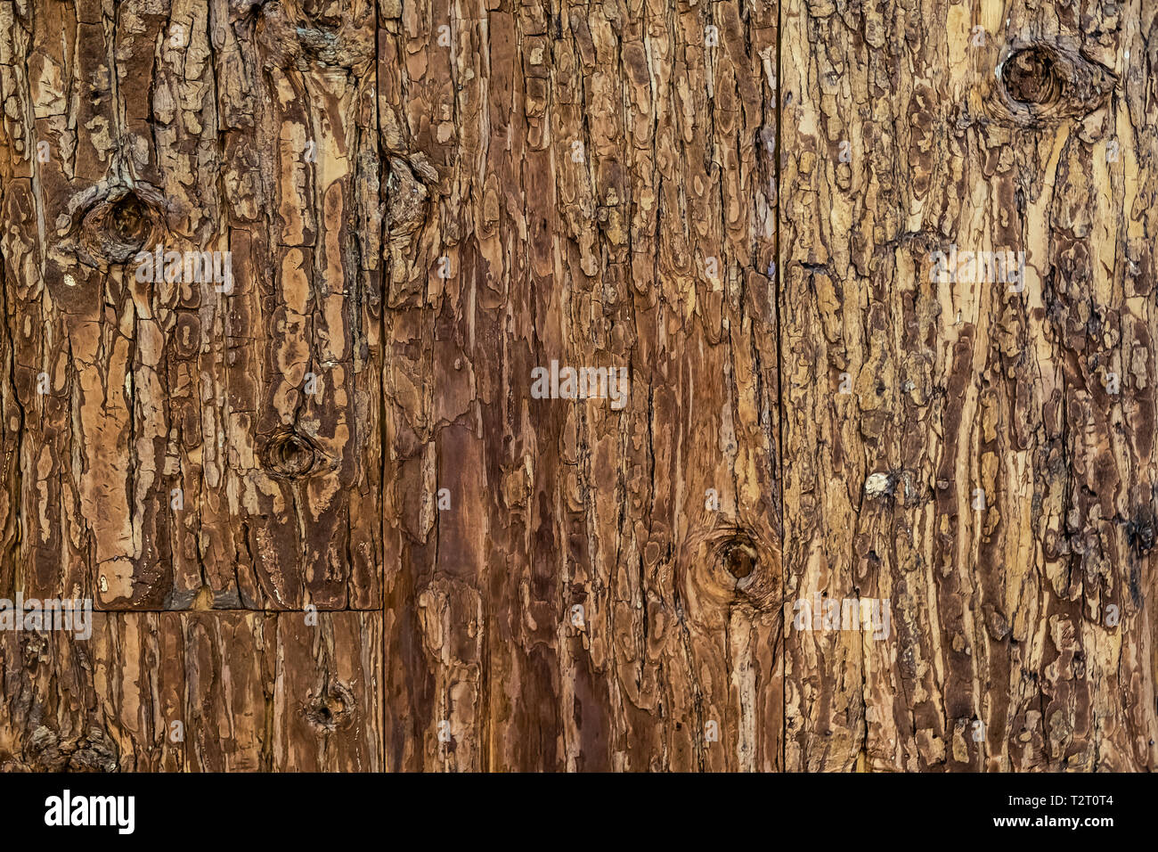 Wood texture background, natural tree Stock Photo - Alamy