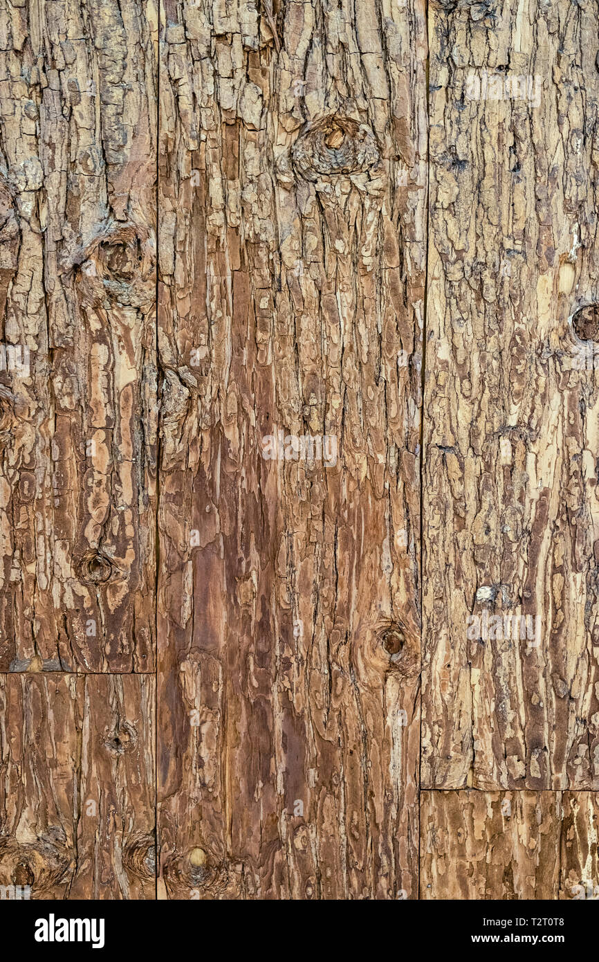 Wood texture background, natural tree Stock Photo - Alamy