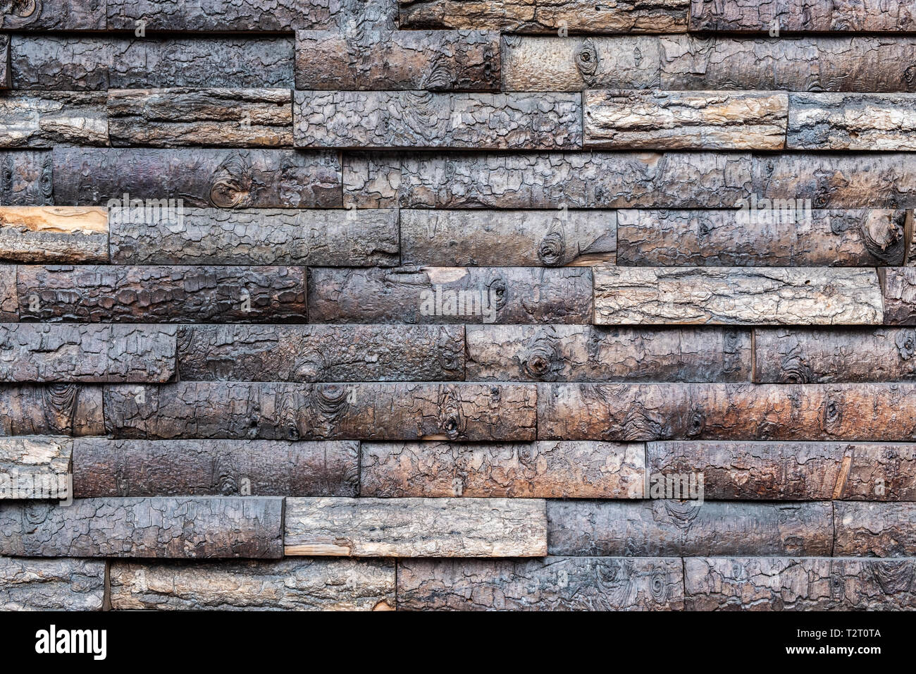 Wood texture background, natural tree Stock Photo - Alamy