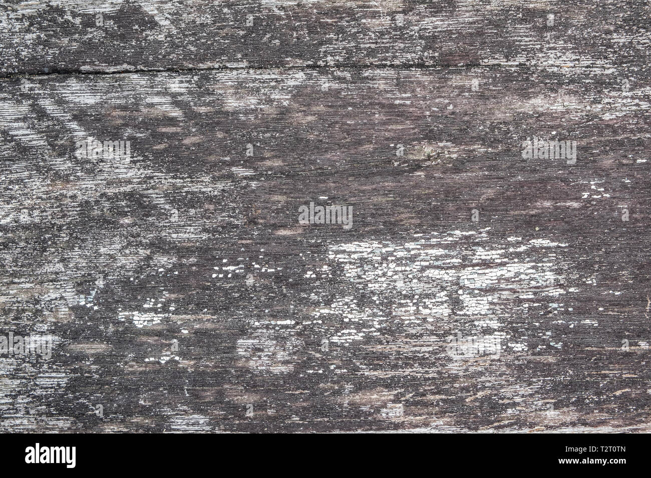 Wood texture background, natural tree Stock Photo - Alamy