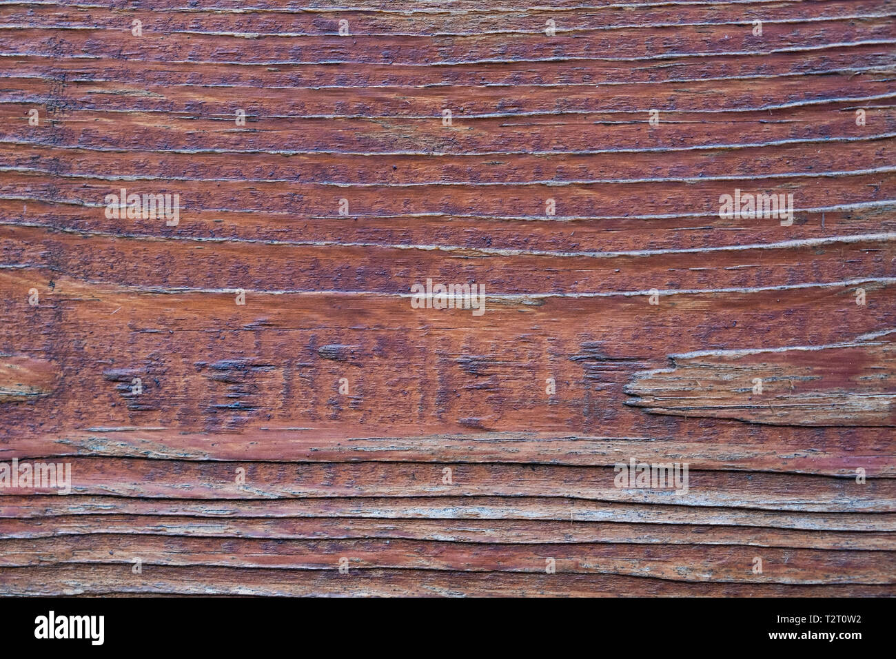 Wood texture background, natural tree Stock Photo - Alamy