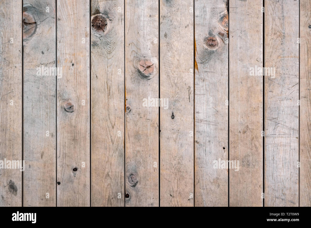 Wood texture background, natural tree Stock Photo - Alamy