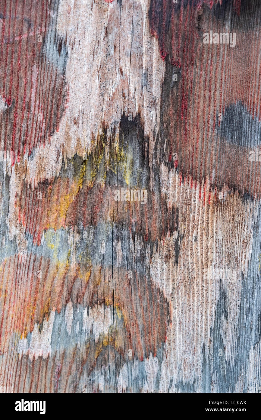 Wood texture background, natural tree Stock Photo - Alamy