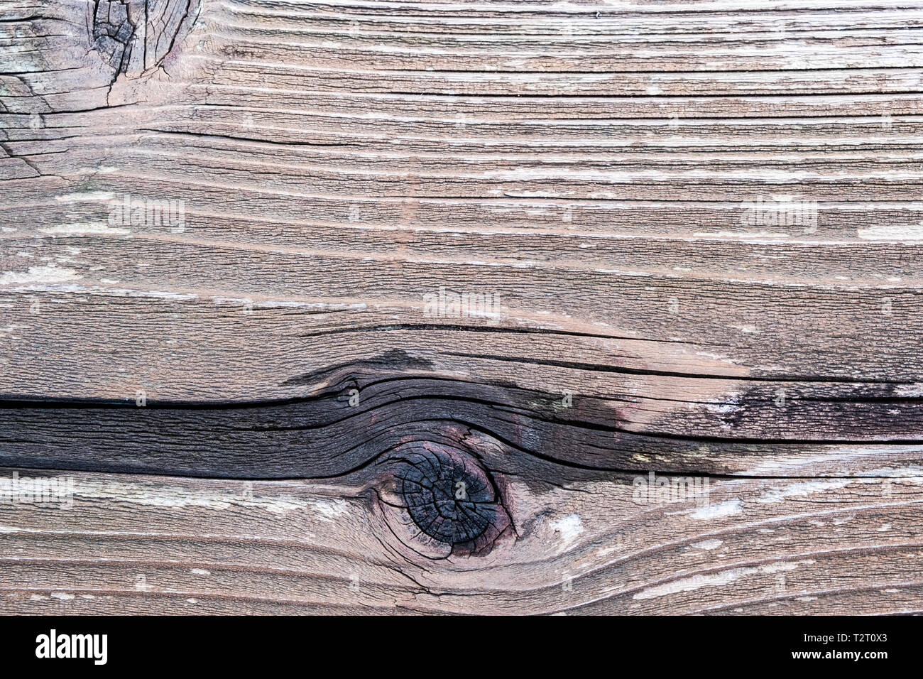 Wood texture background, natural tree Stock Photo - Alamy