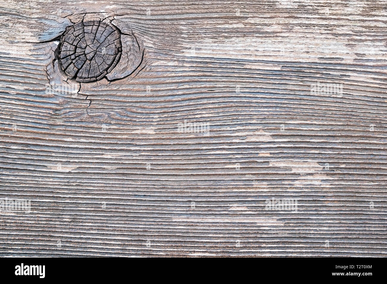 Wood texture background, natural tree Stock Photo - Alamy