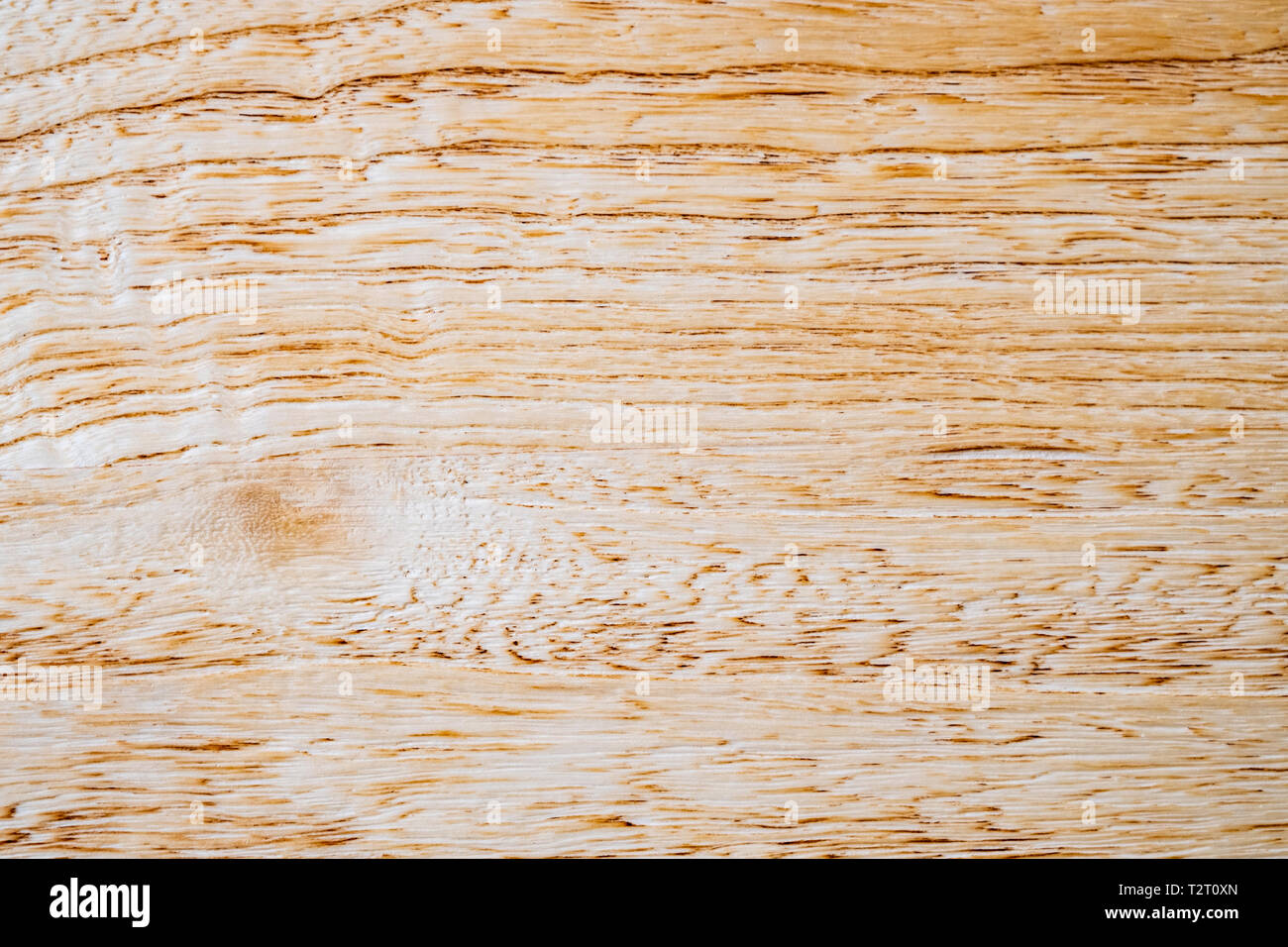 Wood texture background, natural tree Stock Photo - Alamy